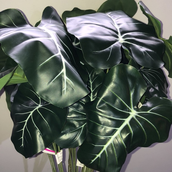 Accents | Monstera Stems Greenery Long Greenery Floral Stems Elephant ...